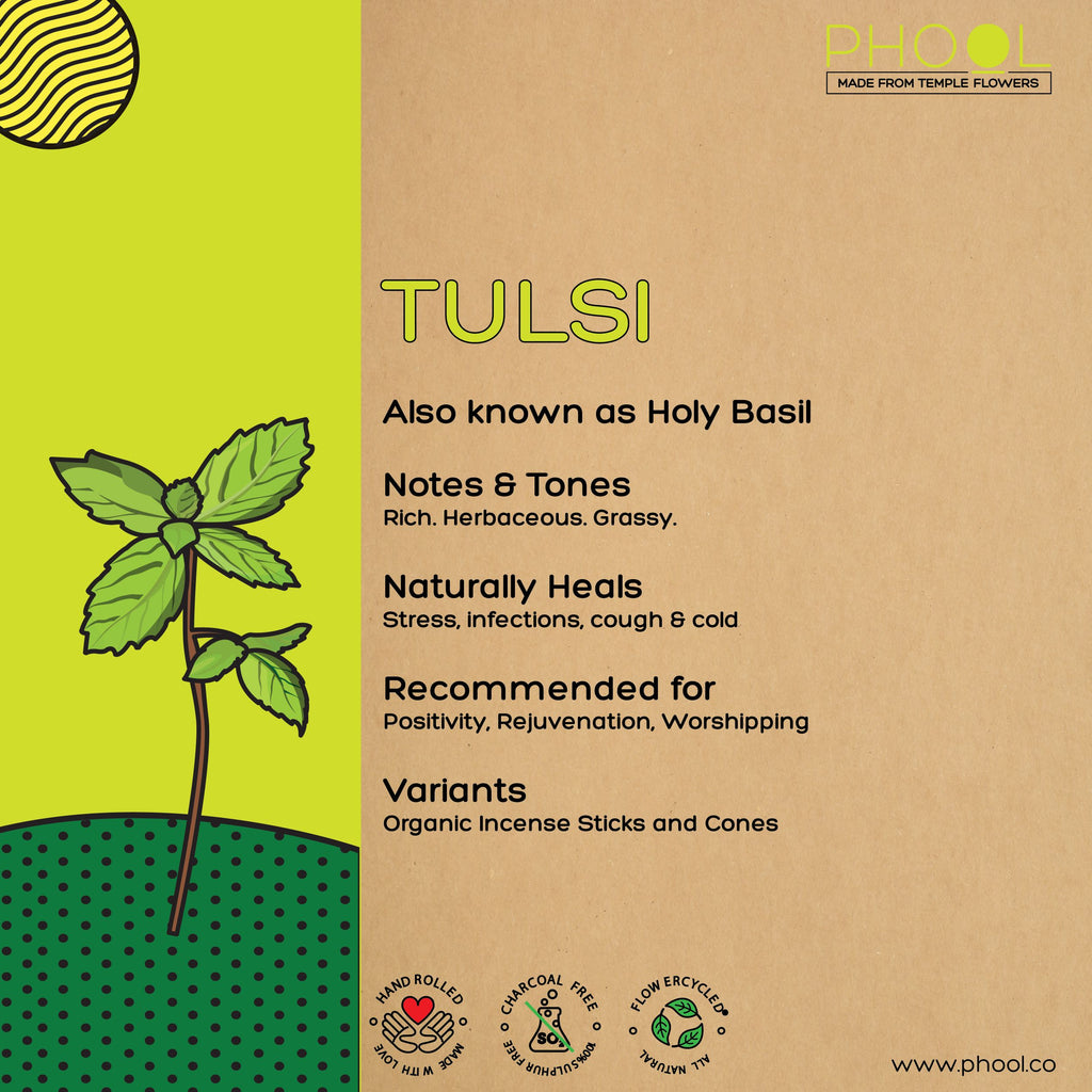 Phool Natural Incense Cones - Tulsi Bundle Packs